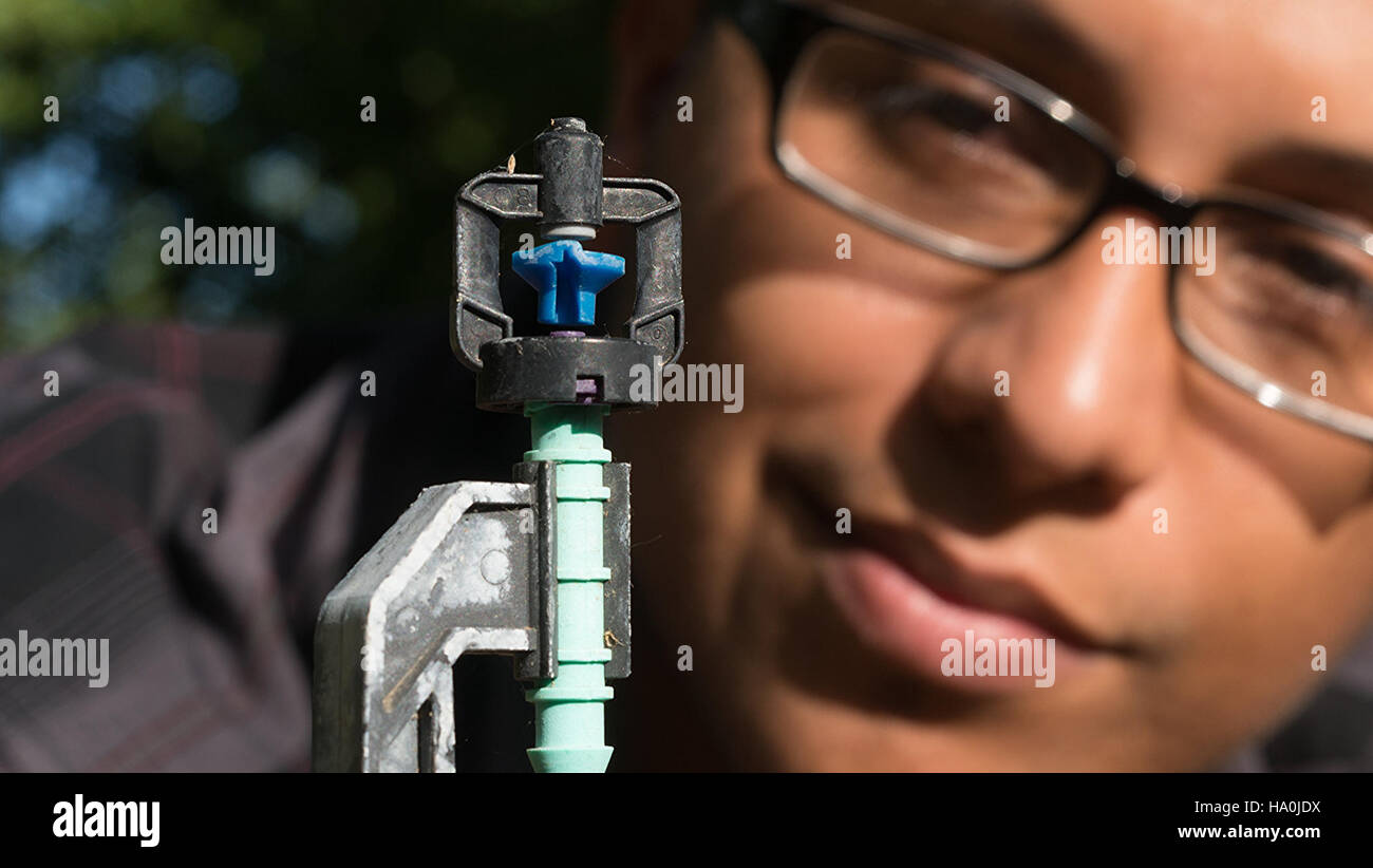 A biodiversity action plan habitat hi-res stock photography and images ...