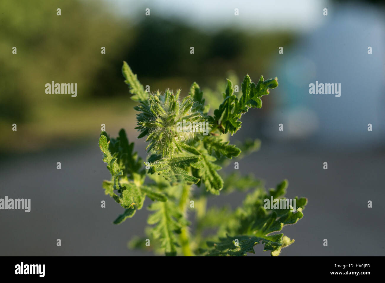 The USDA's Natural Resources Conservation Service (NRCS) works to ...