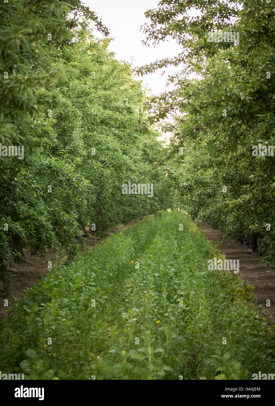 The USDA's Environmental Quality Incentives Program (EQIP) assists ...