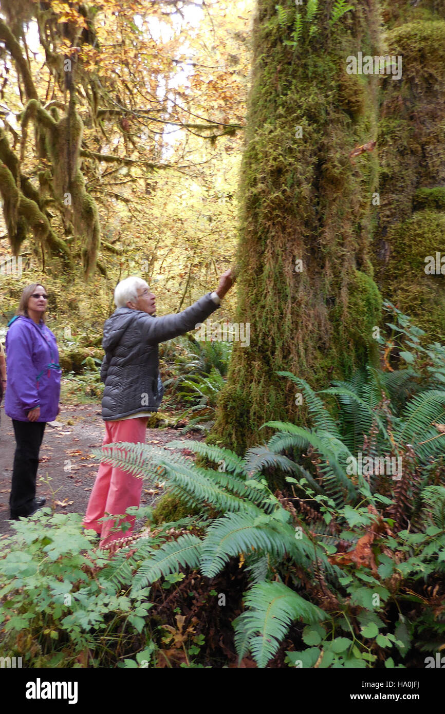 Visitors observe and learn about the diverse plant life, including ...