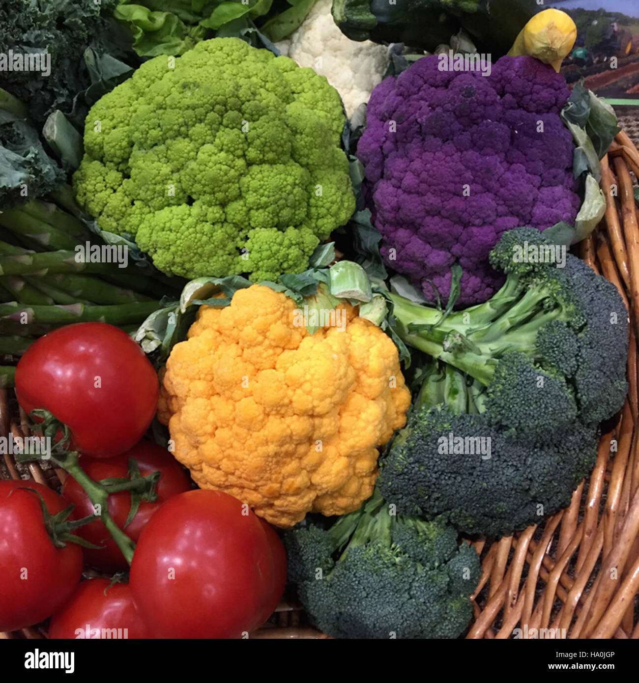 A colorful mix of bright vegetables showcases the diversity of plant ...