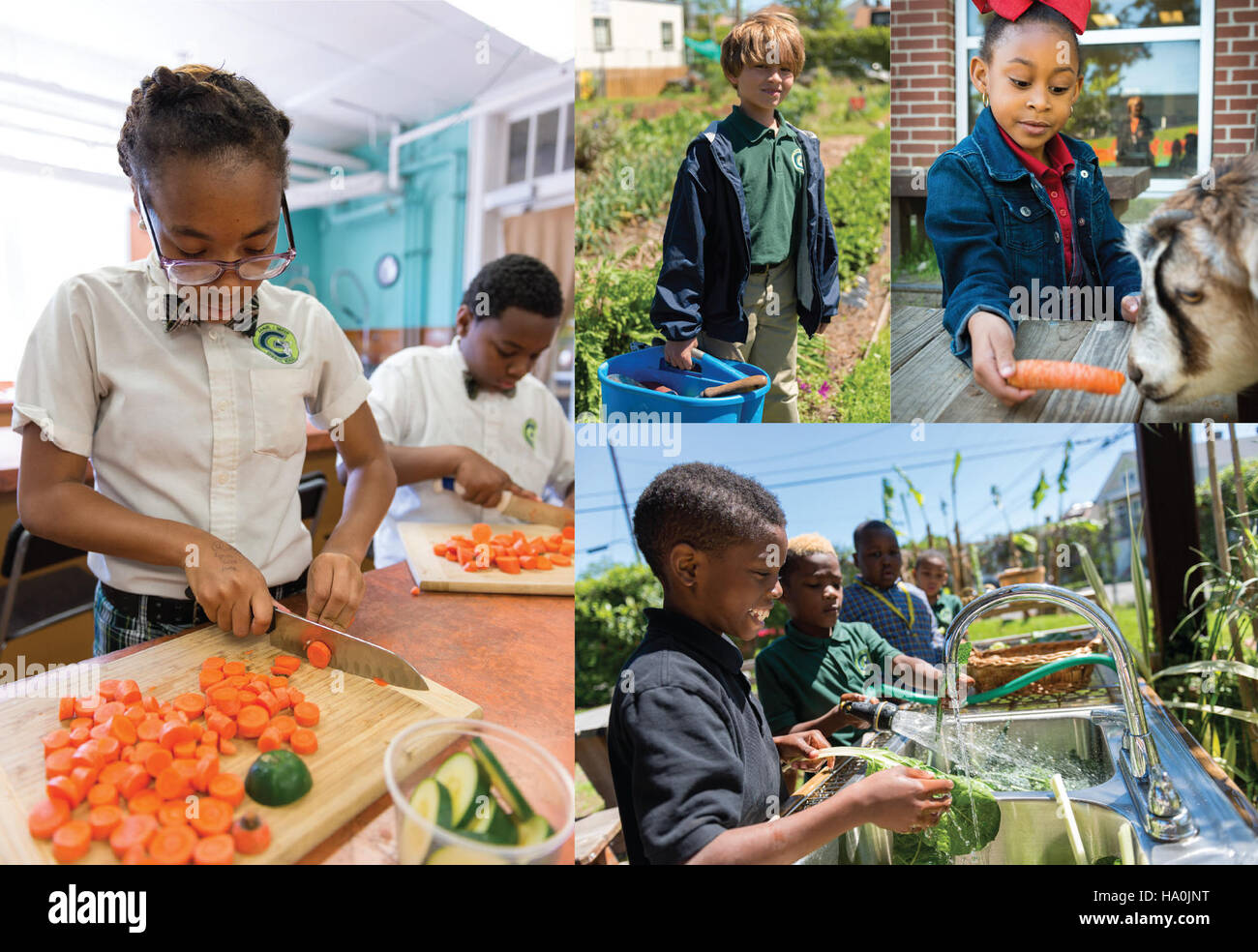 Science montage hi-res stock photography and images - Alamy