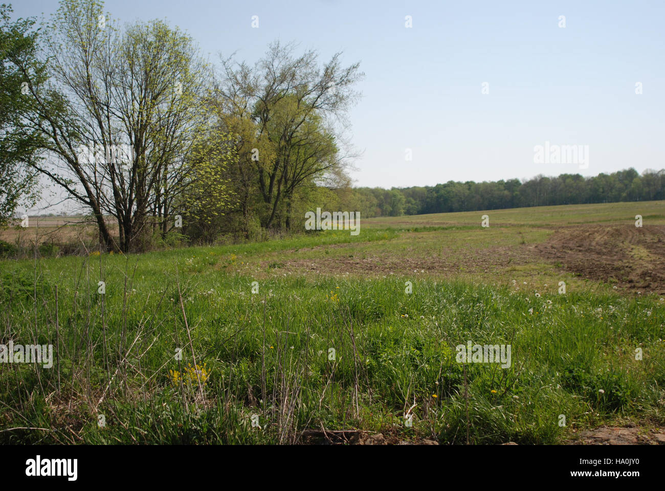 The 30th anniversary of the Ohio Conservation Reserve Program (CRP ...
