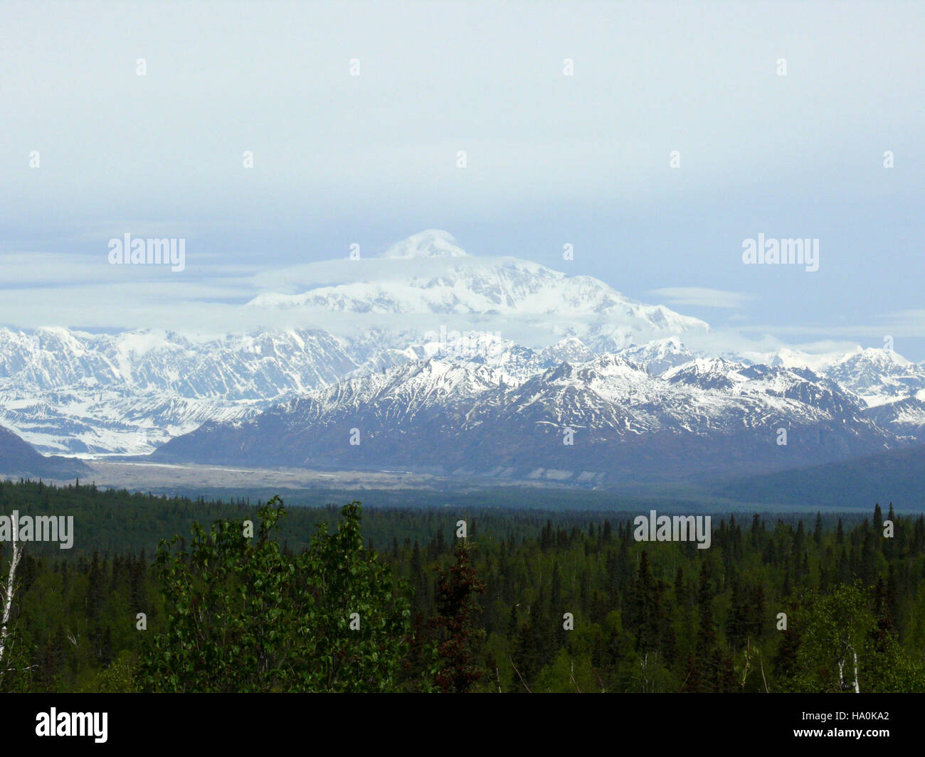 A scenic view of Mount McKinley (Denali), the highest peak in North ...