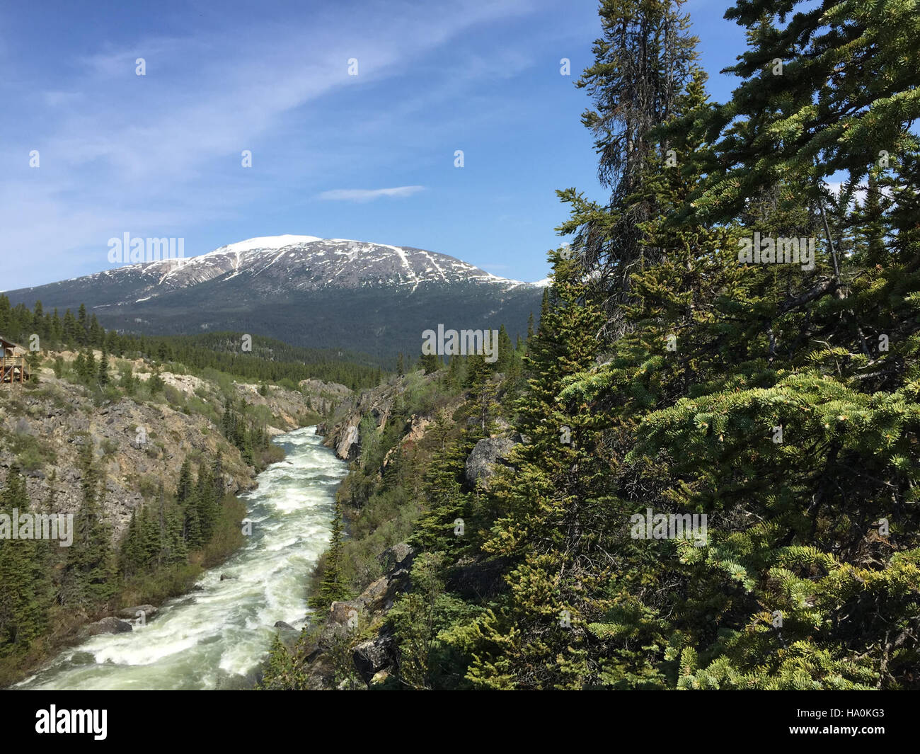 A scenic view of the Alaskan landscape featuring mountains, rapids, and ...