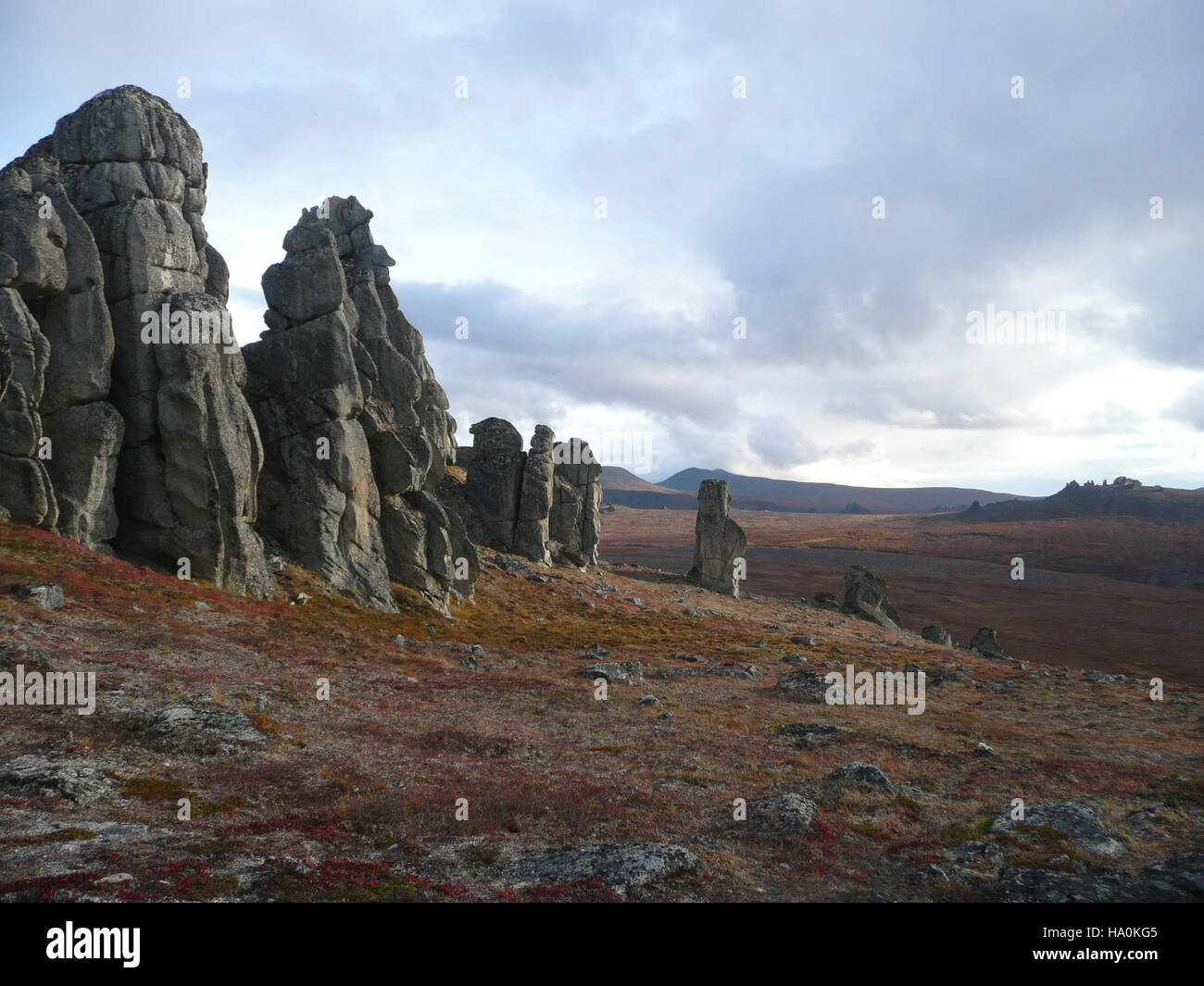 The Tors at Serpentine Hot Springs, located near the Bering Land Bridge ...