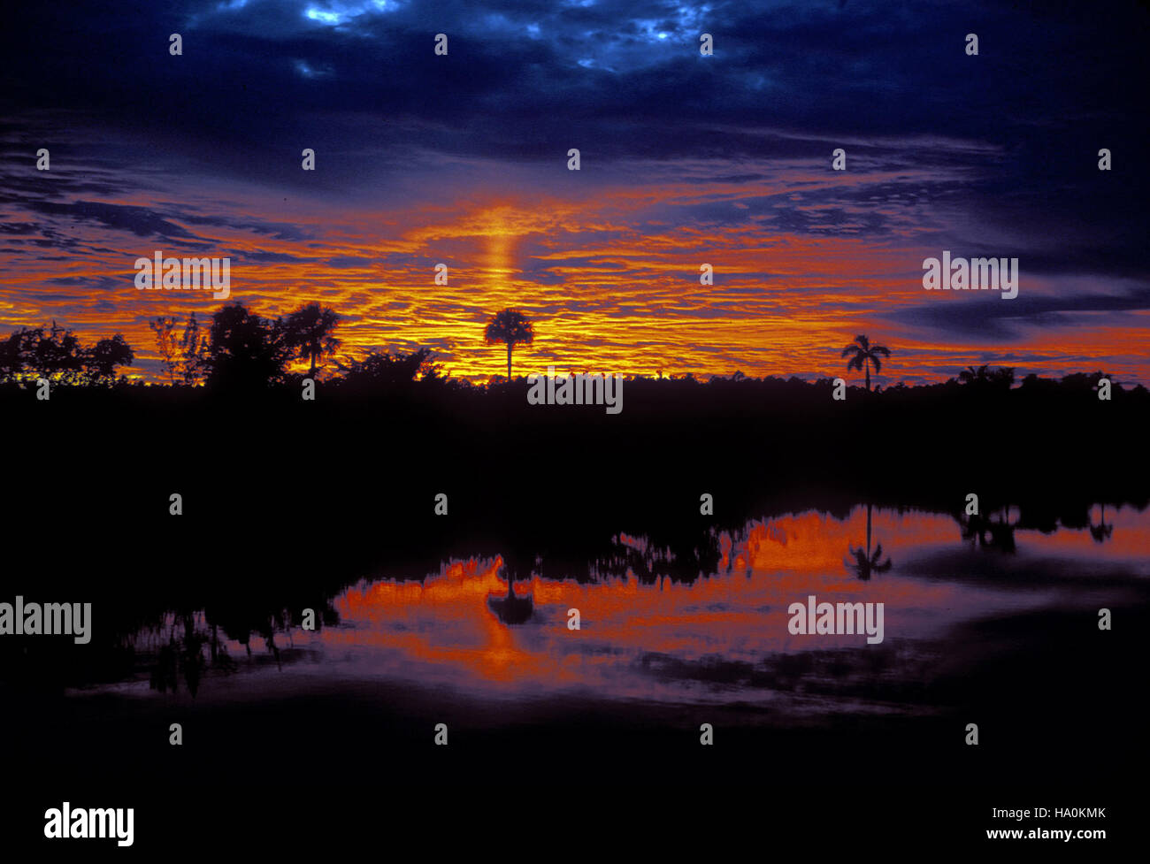 The Everglades National Park, known for its unique wetlands and diverse ...