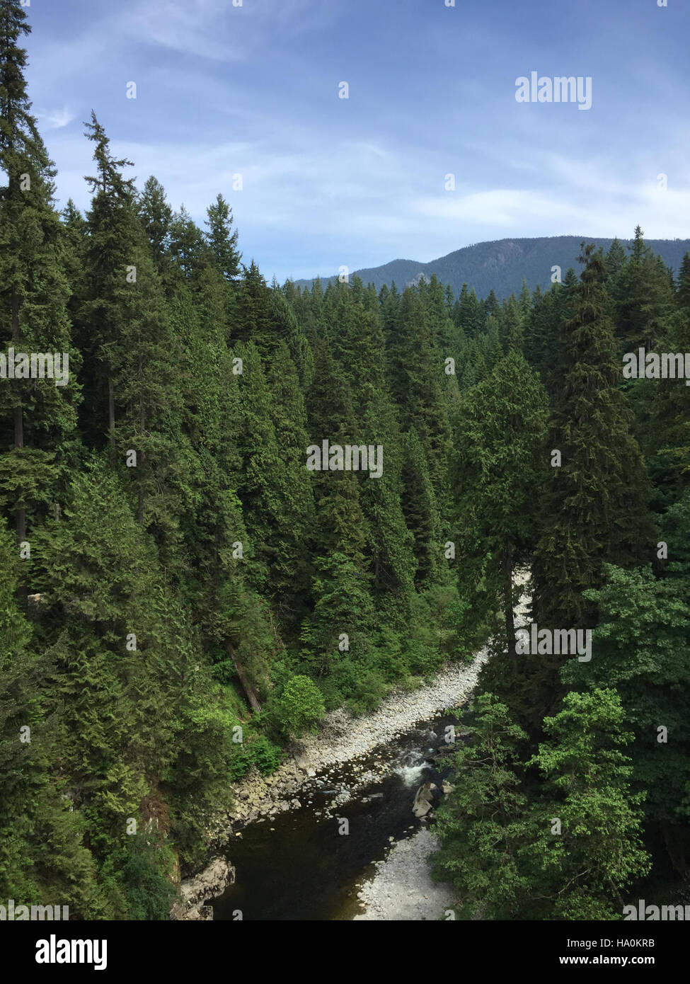 Capilano u hi-res stock photography and images - Alamy