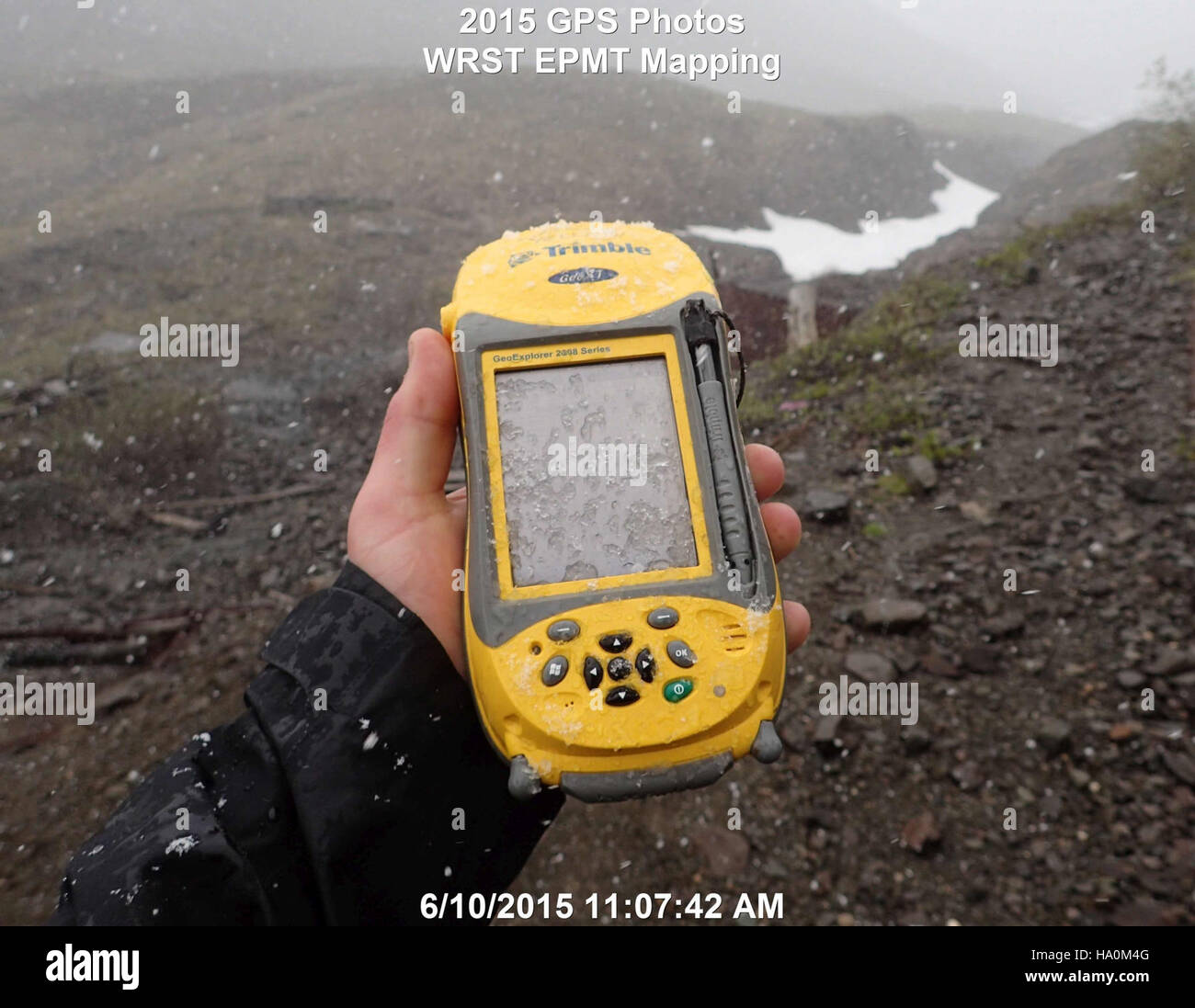 Photos from 2015 showing GPS tracking of wildlife in Alaska, helping ...
