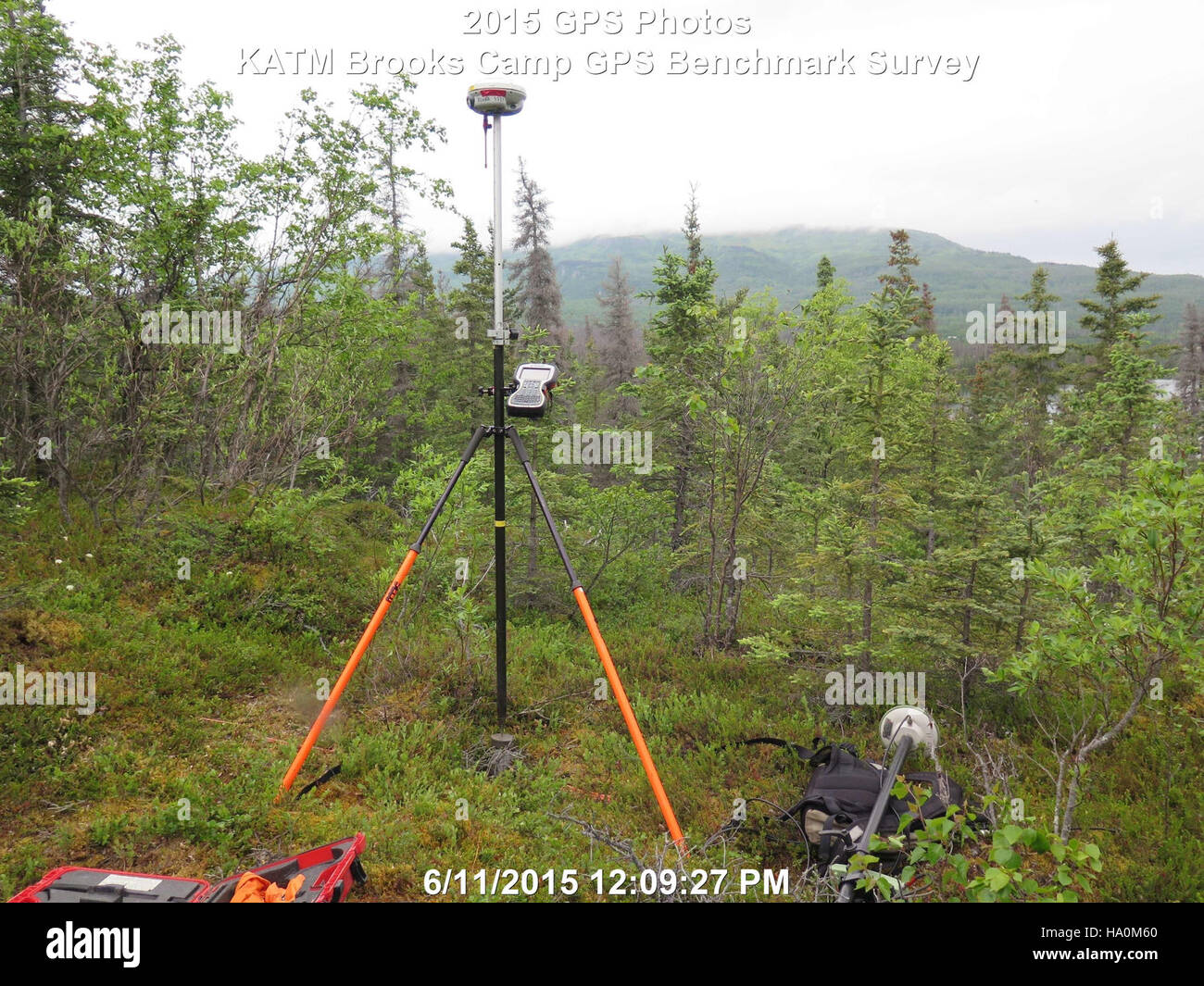 Environmental stewardship movement hi-res stock photography and images ...