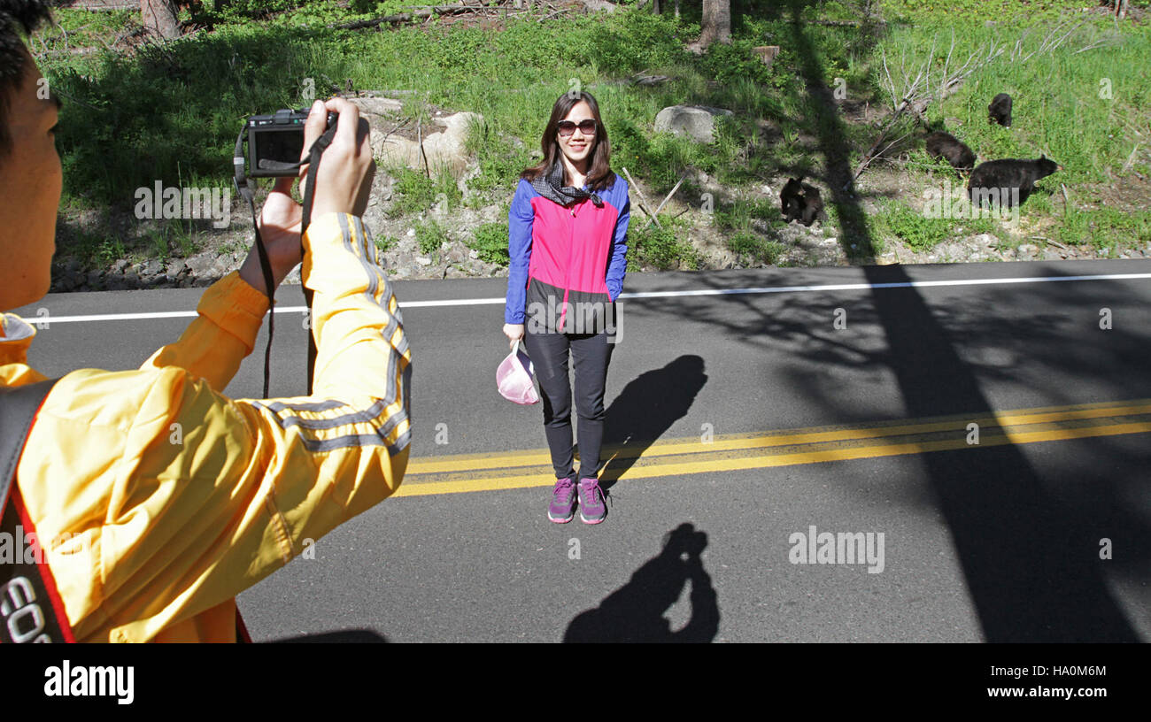 Yellowstone National Park enforces strict regulations to ensure ...