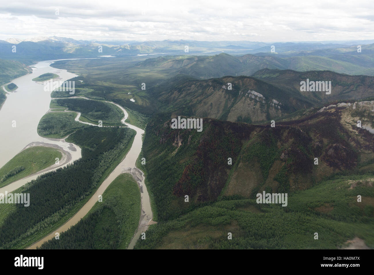 The Trout Fire in 2015 was managed by the Alaska National Park Service ...