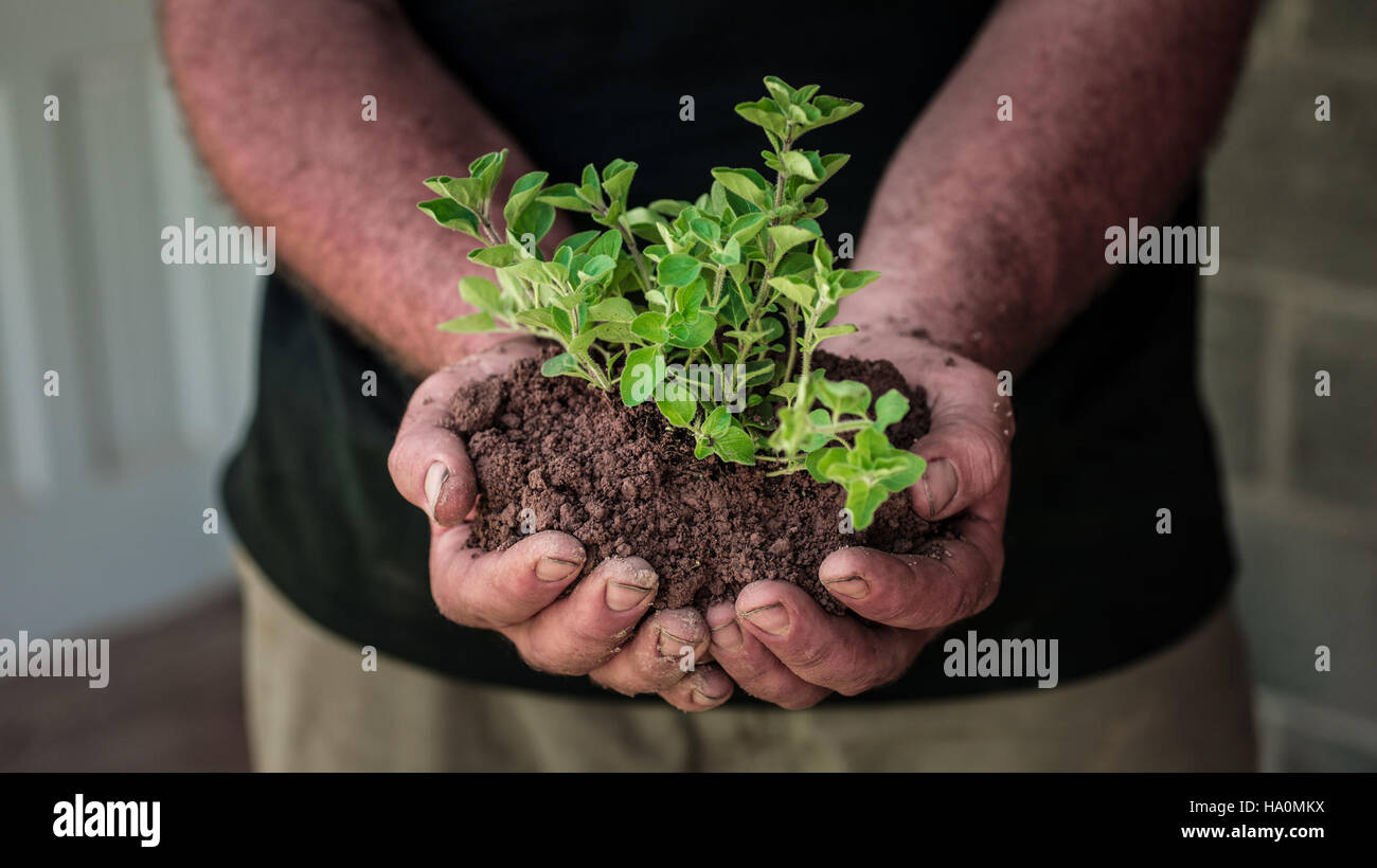The USDA Farm Service Agency supports family farmers, including ...