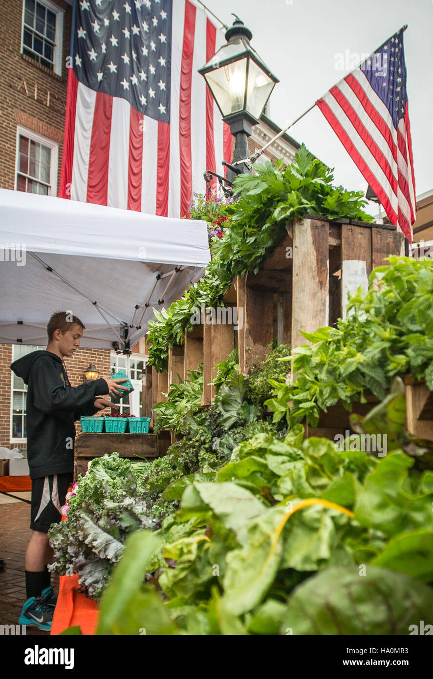 The USDA's Farm Service Agency (FSA) provides resources and support to ...