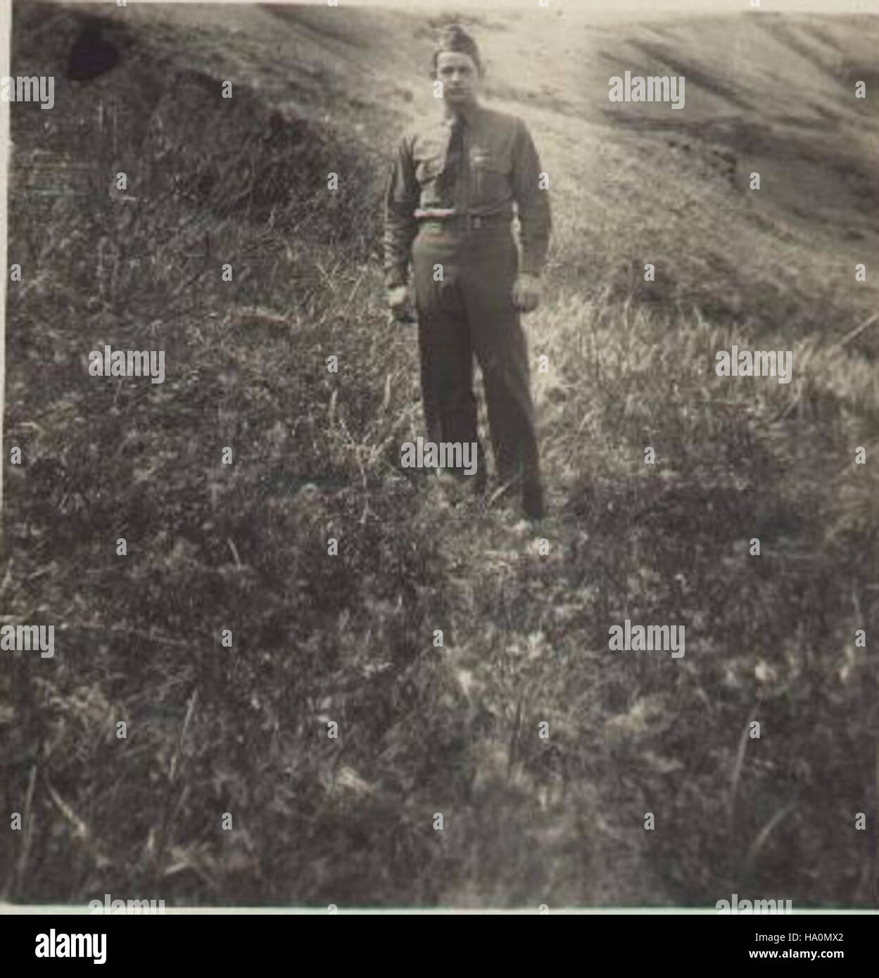 This image connects World War II history with the natural environment ...