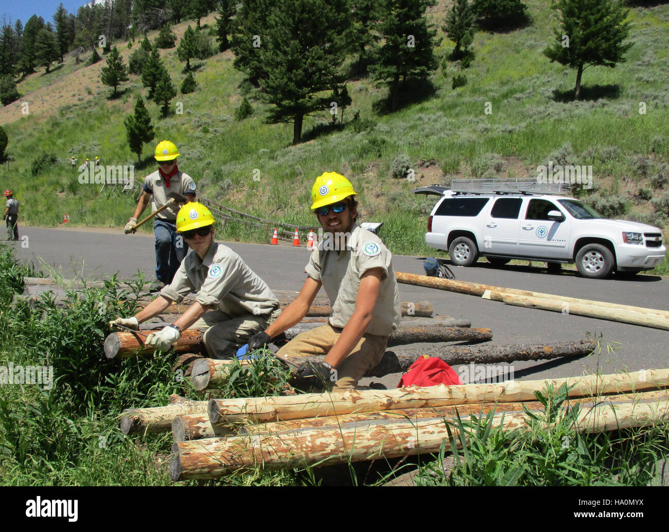 Yellowstone National Park highlights the diverse ecosystems, geothermal ...