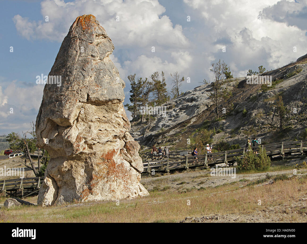 Liberty Cap is a prominent geothermal feature at Mammoth Hot Springs in ...
