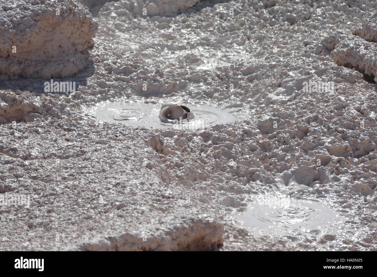 Mudpots in Yellowstone National Park are geothermal features where ...