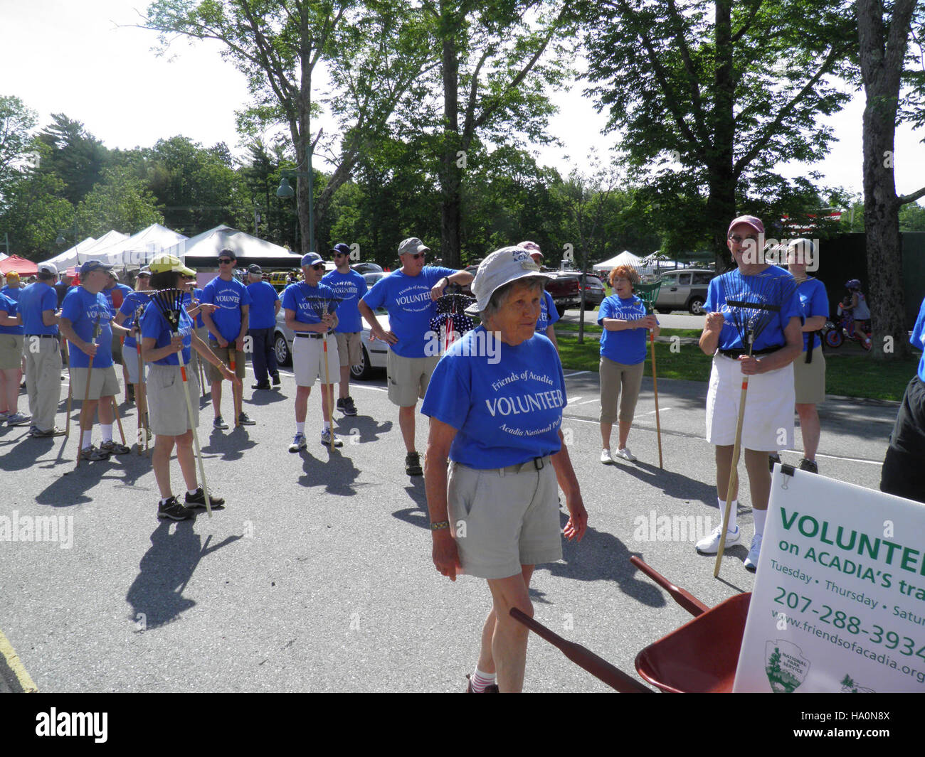 A detailed nature scene showcasing wildlife and the diverse ecosystems ...