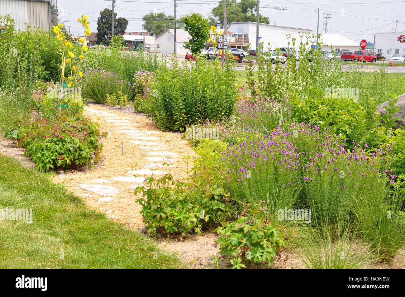 The USDA promotes the creation of pollinator gardens to support ...