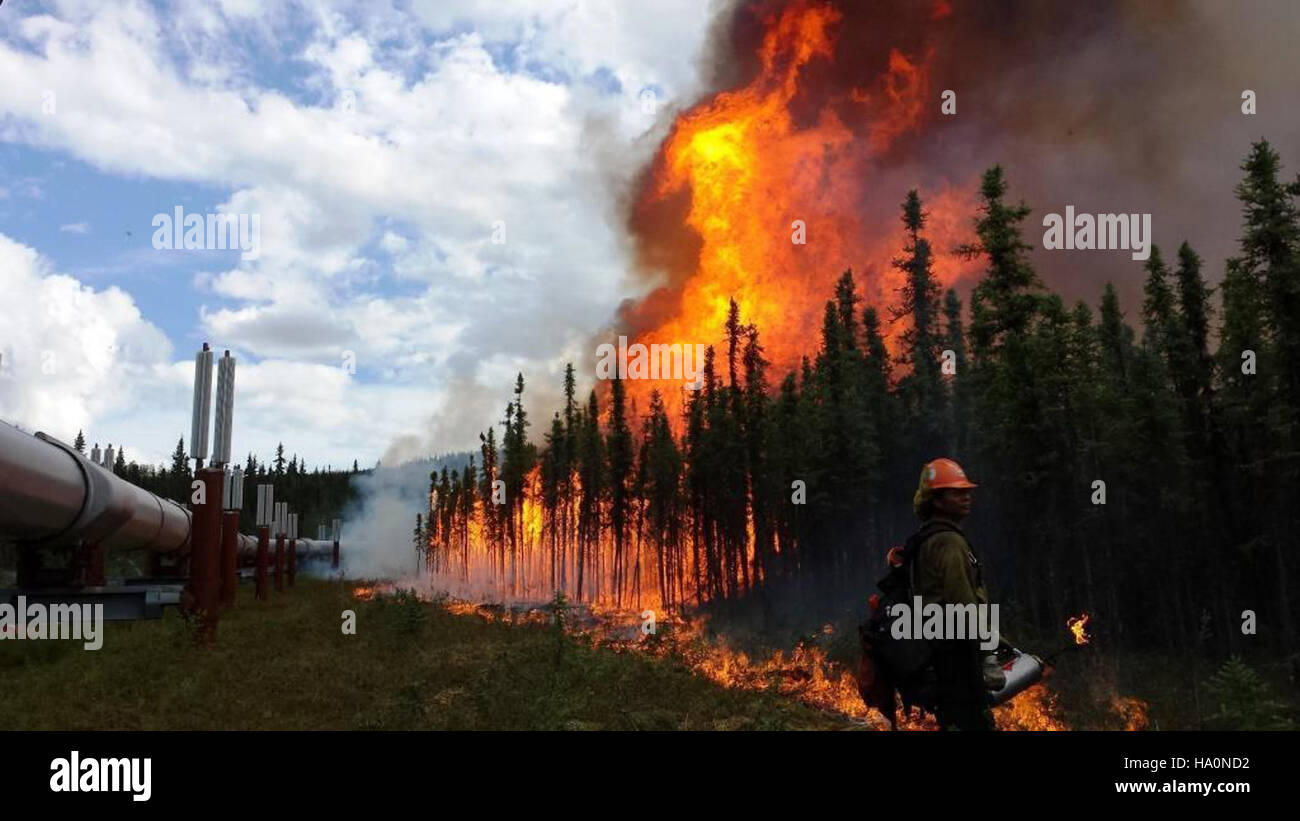 This image captures the aftermath of a wildfire in Alaska, a state ...