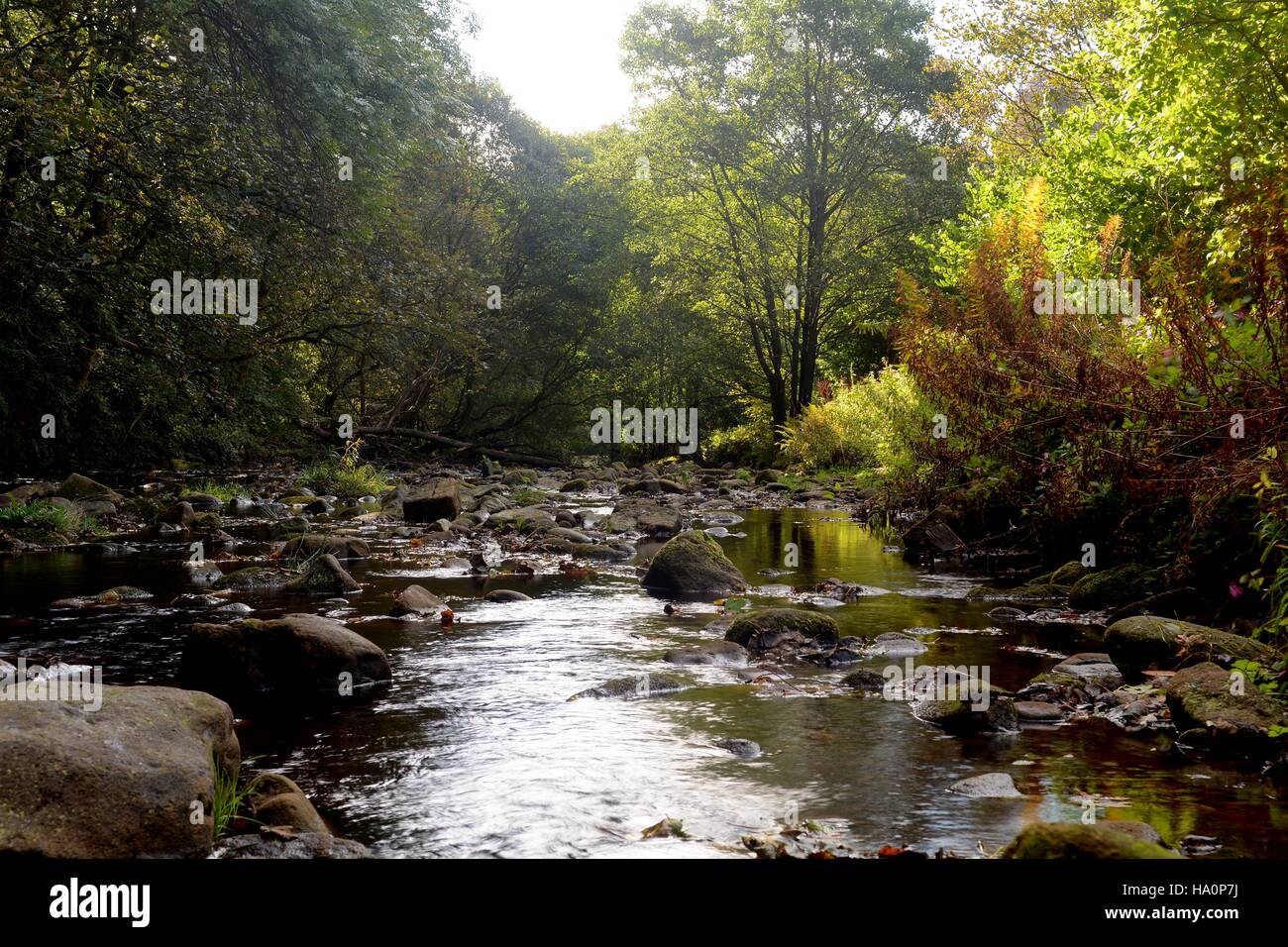 Hebden beck bridge hi-res stock photography and images - Alamy
