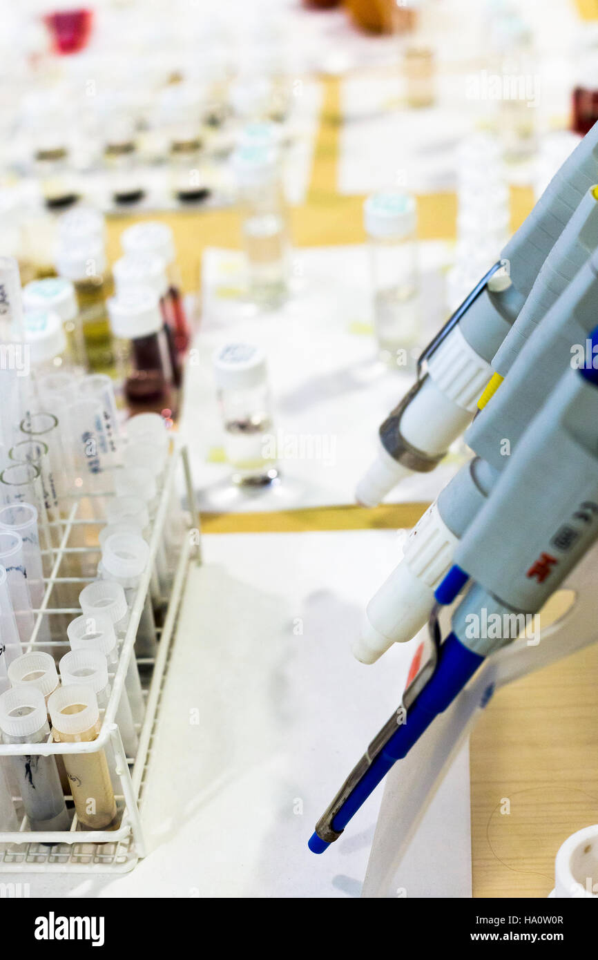 Laboratory with samples in the Department of Materials Science at the ...