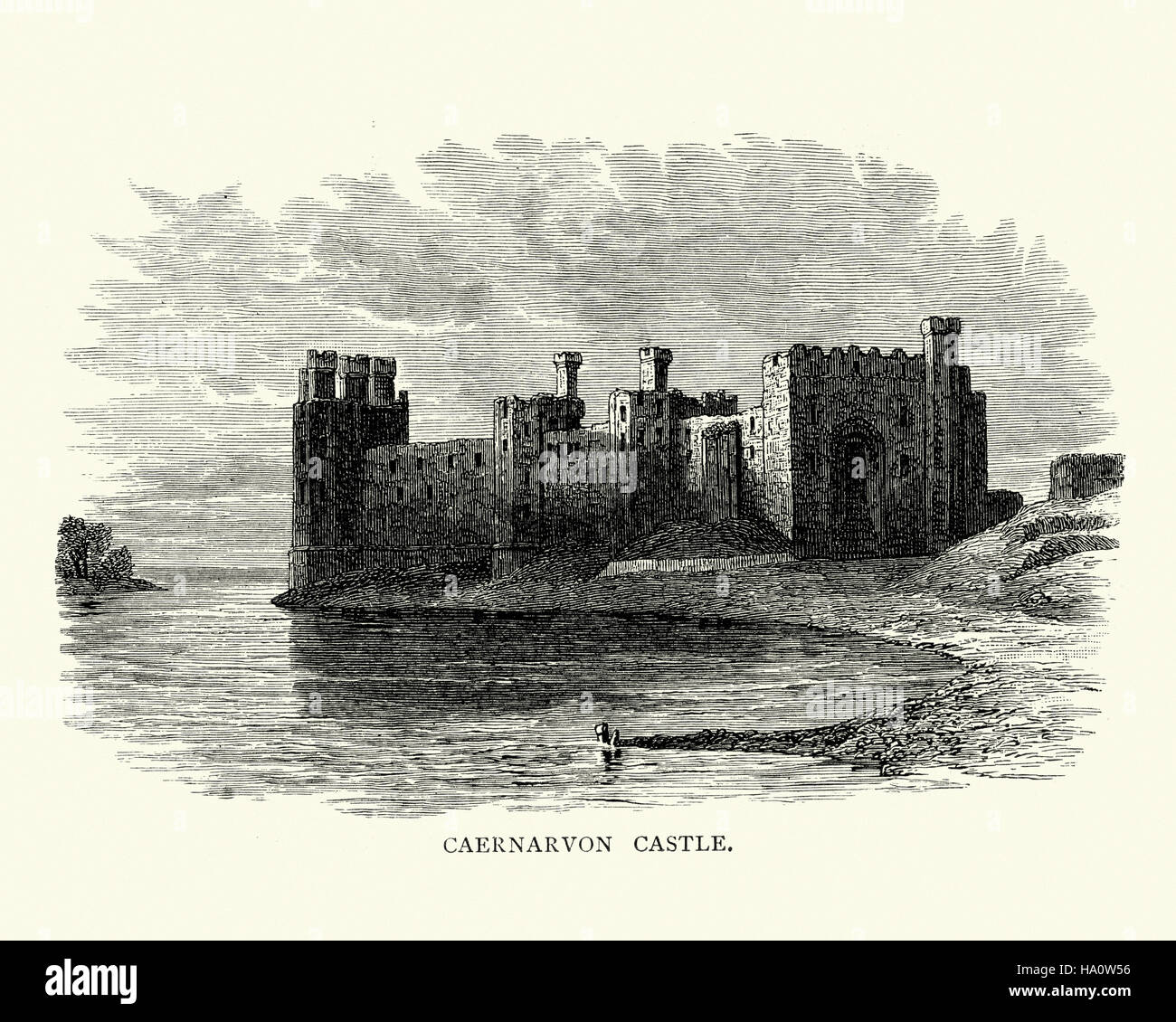 Caernarfon Castle (Carnarvon), a medieval fortress in Caernarfon ...