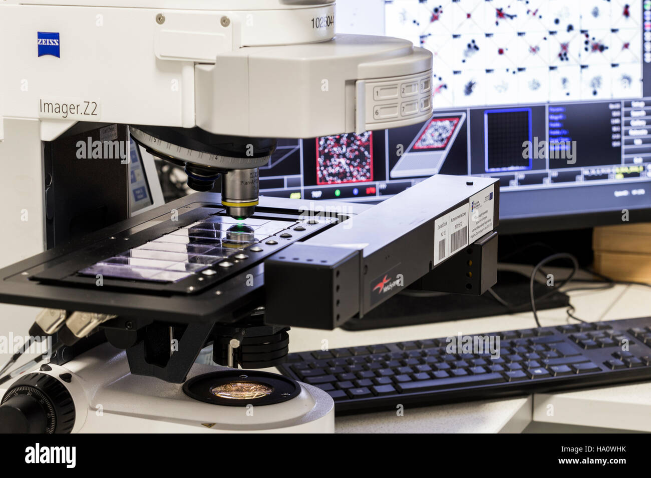 Atomic force microscope hi-res stock photography and images - Alamy