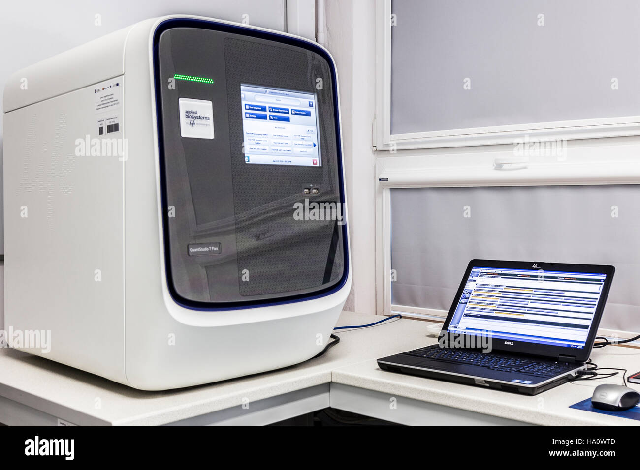 Real Time Polymerase Chain Reaction Pcr Used For Gene Expression Analysis In The Department