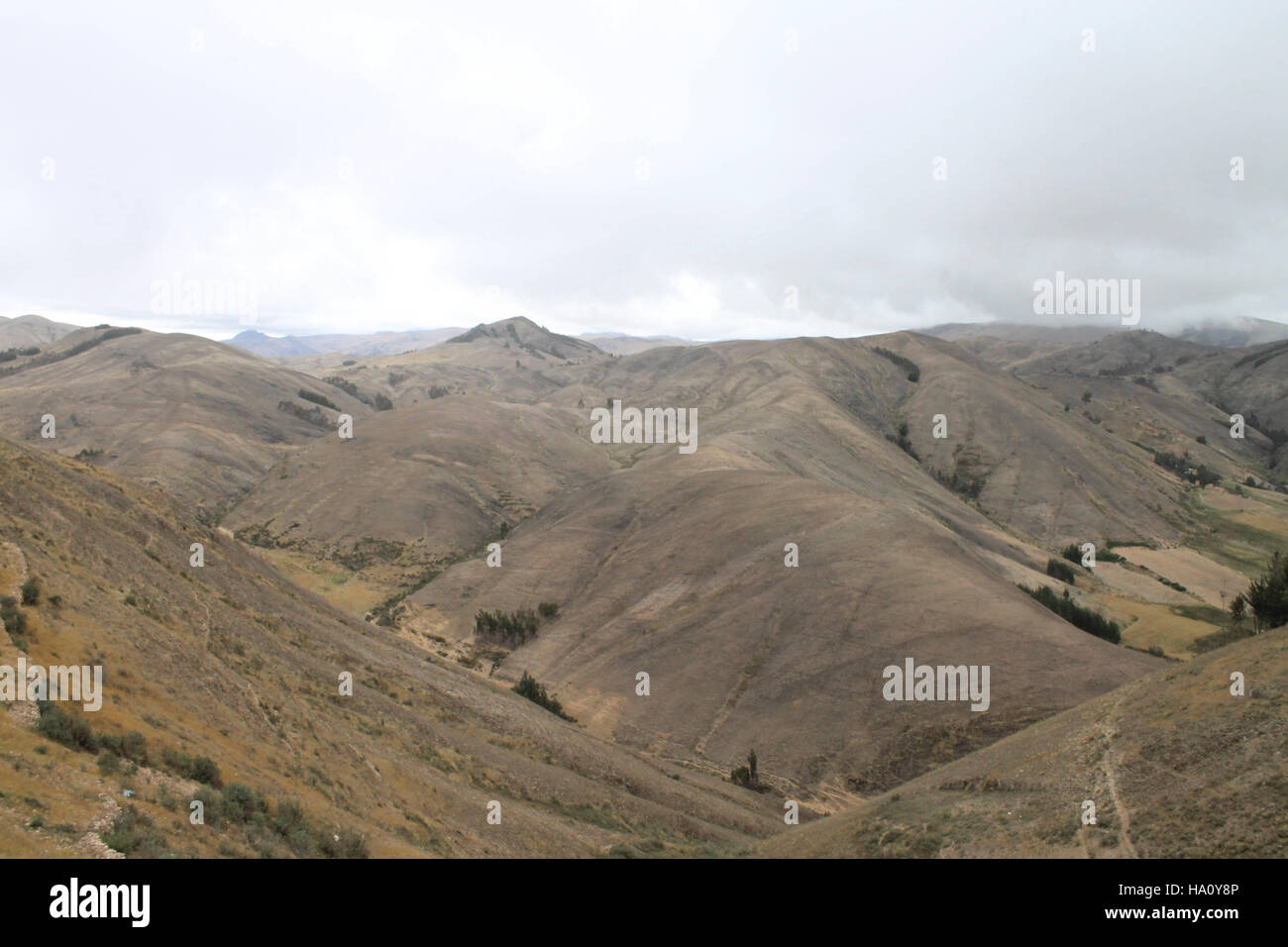 Peru mountain forest hi-res stock photography and images - Alamy