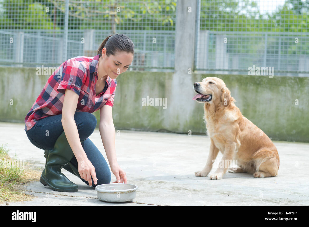 dedicated girl training dog in kennel Stock Photo - Alamy
