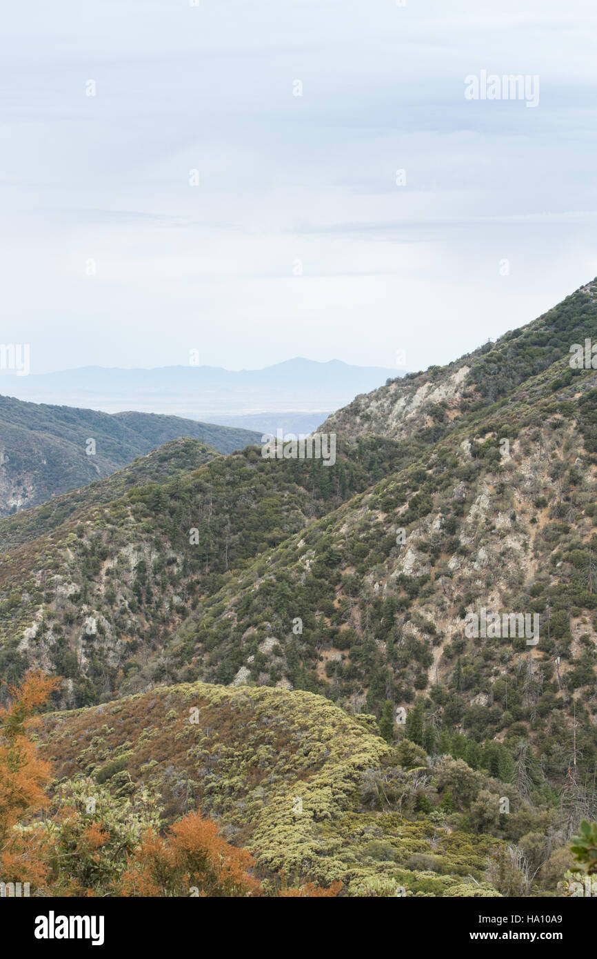 an overgrown path on a mountain Stock Photo - Alamy