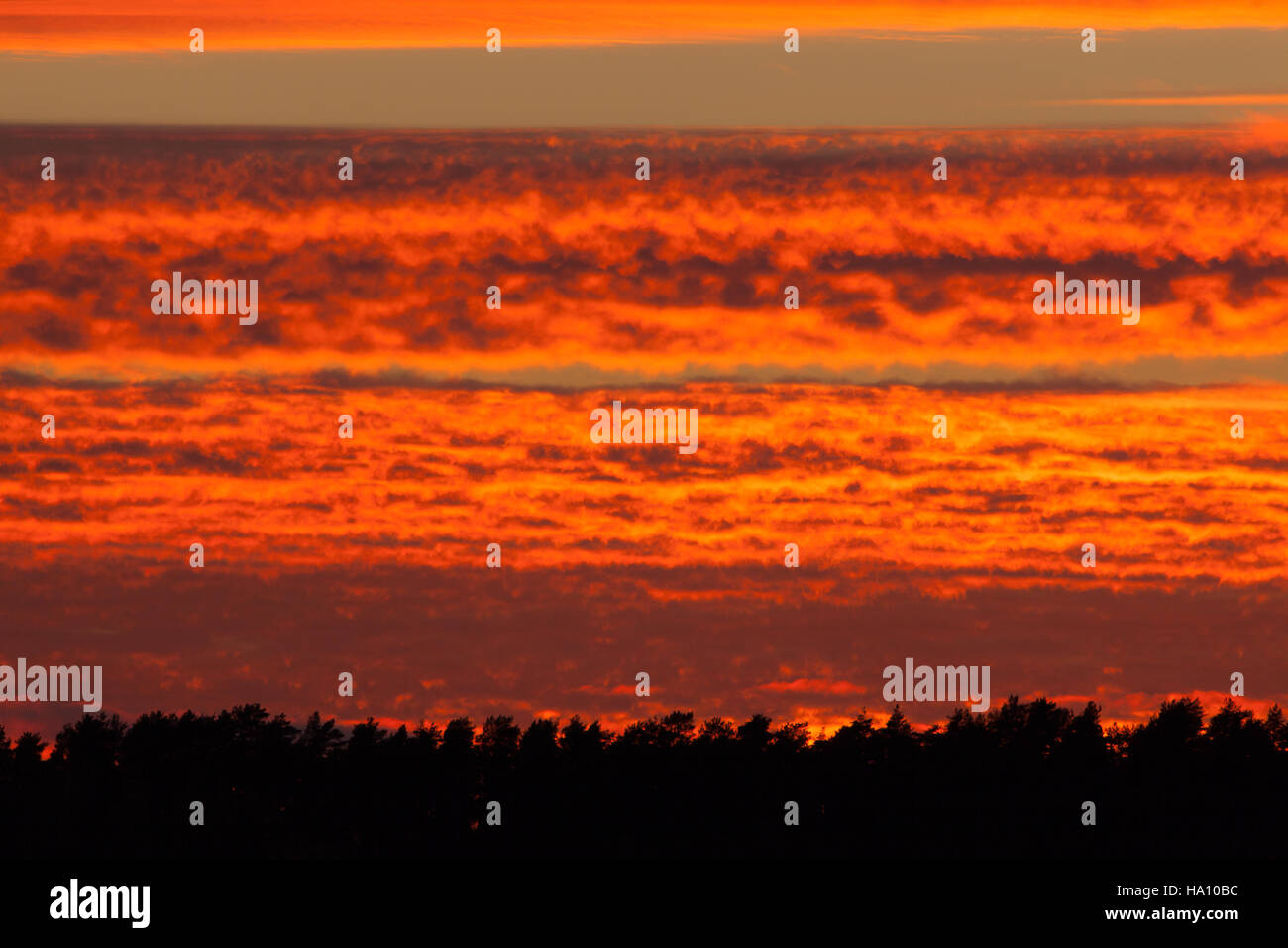 Fiery red sunset clouds Stock Photo - Alamy