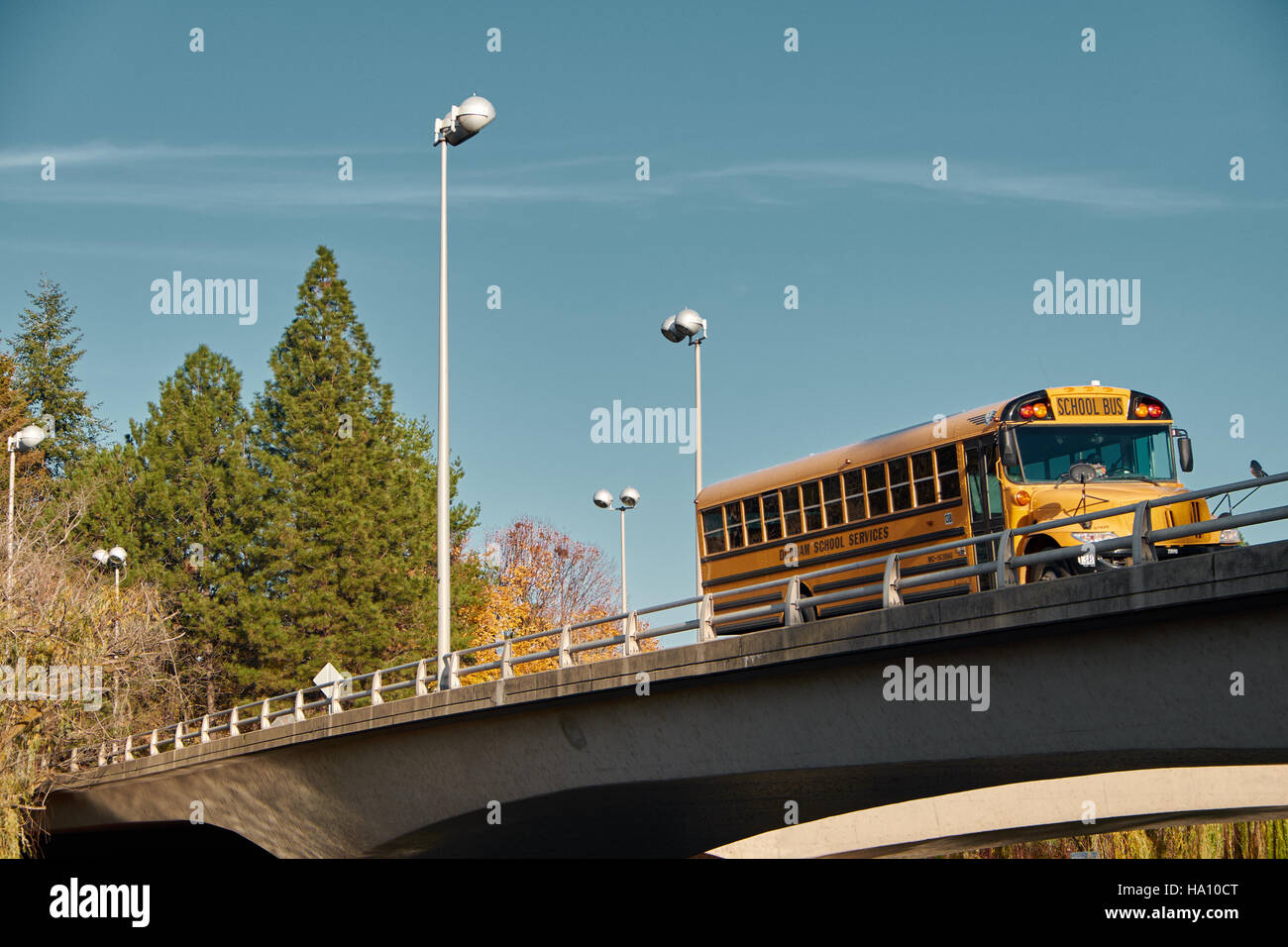Yellow American Bus on a bridge Stock Photo - Alamy