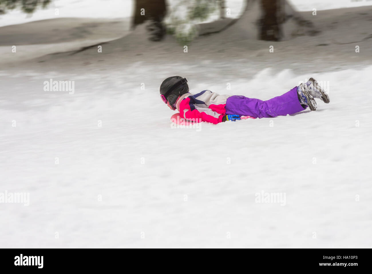 Young child (might be boy or girl) outdoors in winter with a toboggan ...