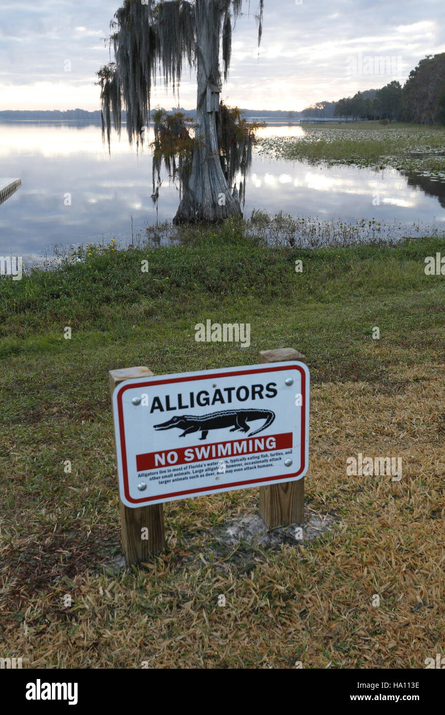 Alligator warning sign hi-res stock photography and images - Alamy