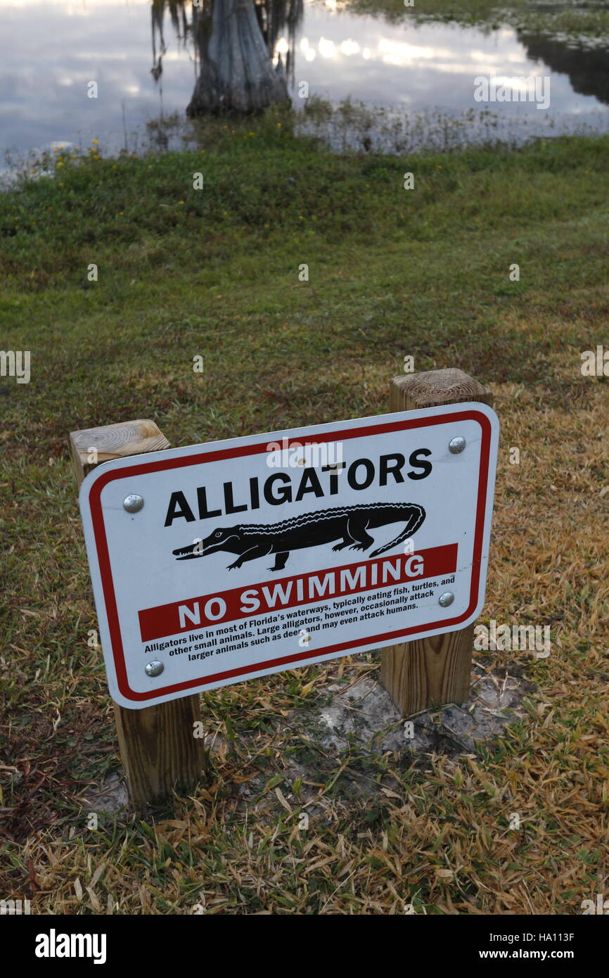 Alligator warning sign hi-res stock photography and images - Alamy