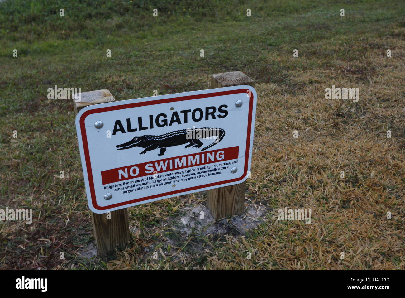 Alligator warning sign hi-res stock photography and images - Alamy