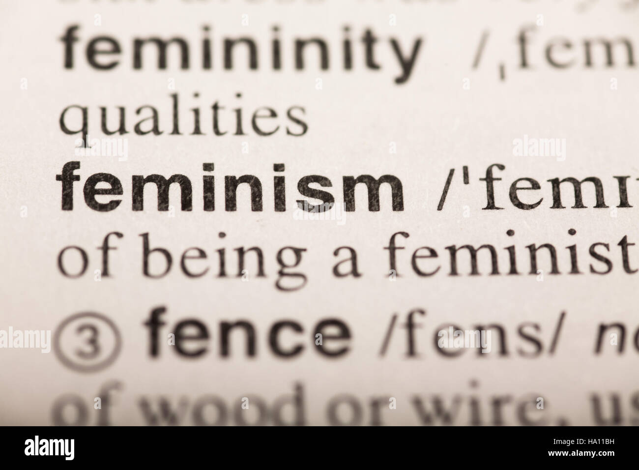 feminism - word in dictionary Stock Photo - Alamy