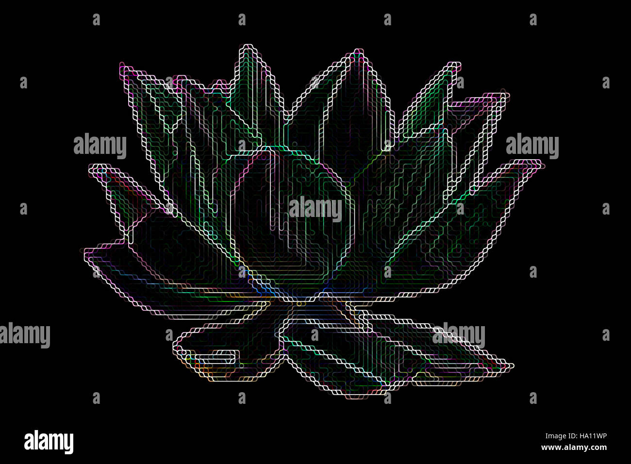 Single Lotus flower graphism Stock Photo - Alamy