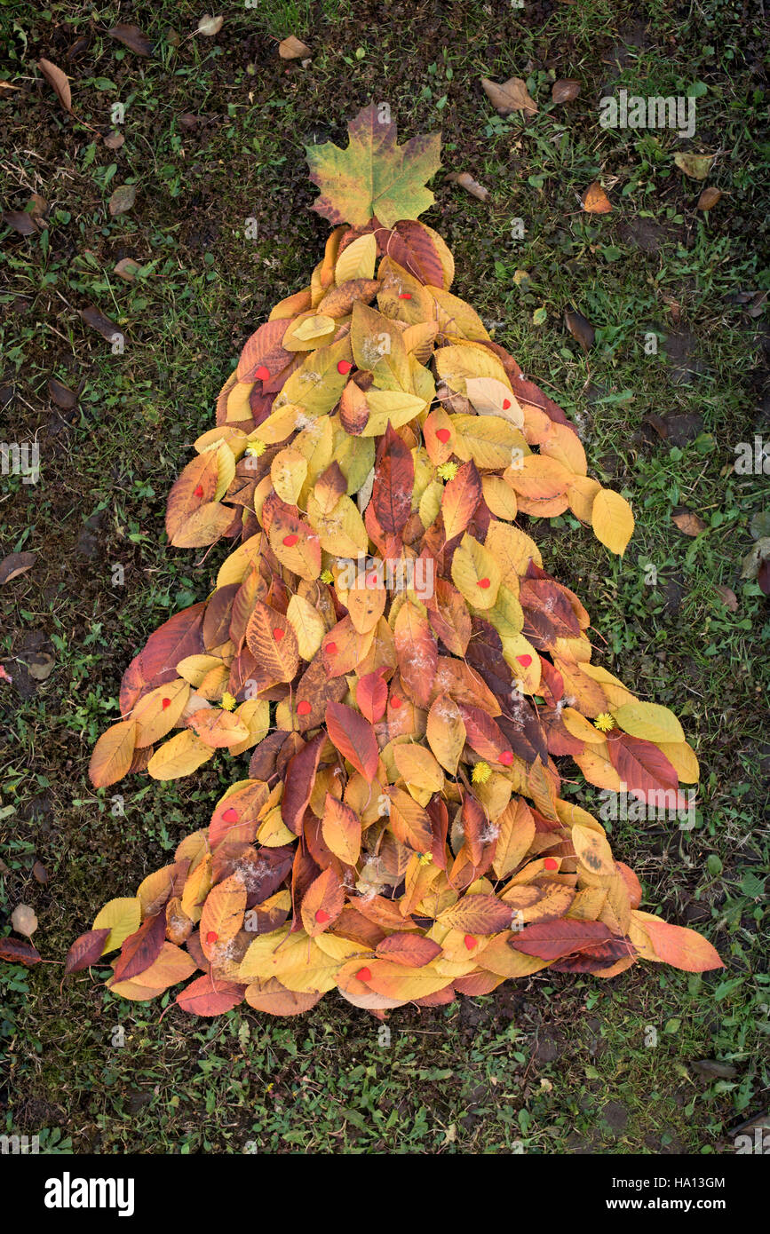 Christmas tree leaves hi-res stock photography and images - Alamy