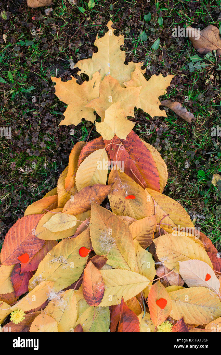 Tree top leaves hi-res stock photography and images - Alamy