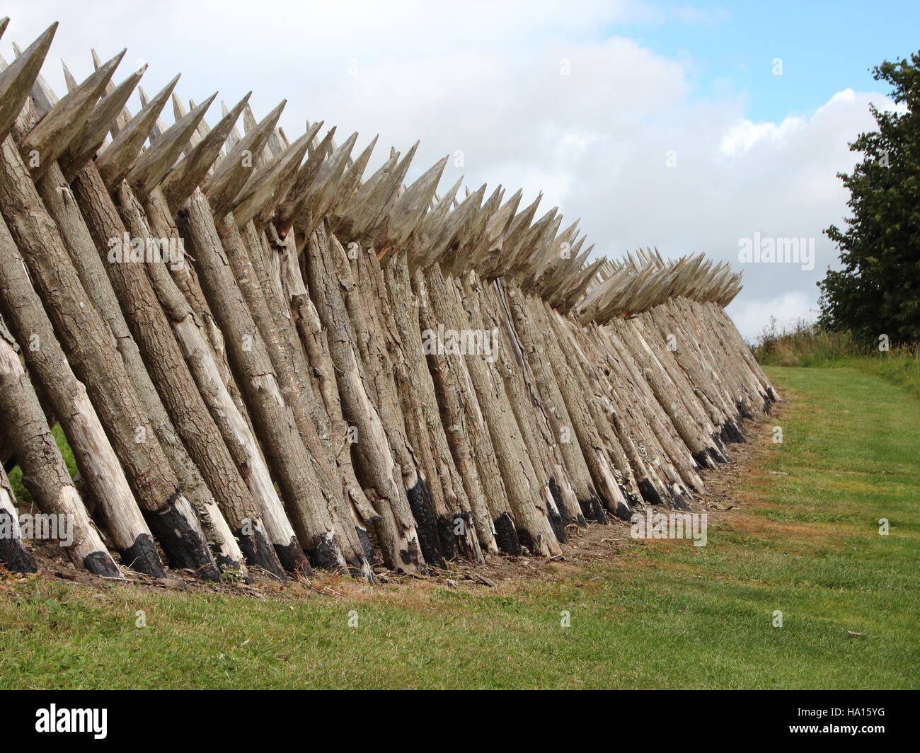 Wooden Pole Palisade at Danish Dybboel War Museum Stock Photo - Alamy
