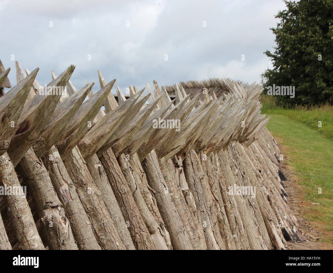 Wooden Pole Palisade at Danish Dybboel War Museum Stock Photo - Alamy