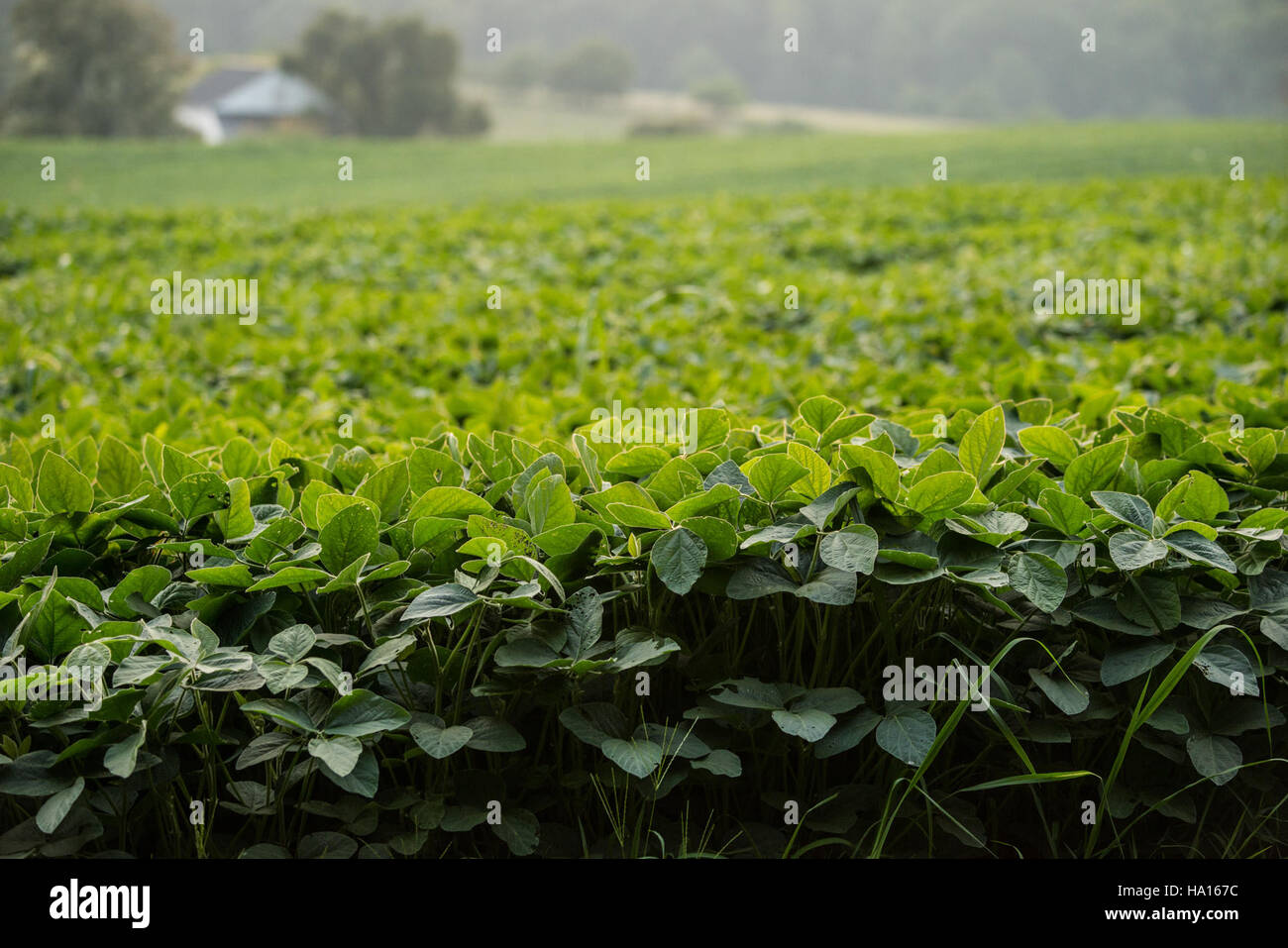 The USDA's Farm Service Agency and Natural Resources Conservation ...