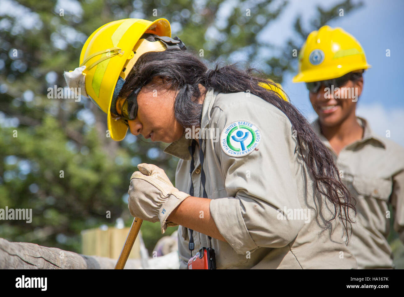 The Yellowstone Youth Conservation Corps (YCC) works on fencing at the ...