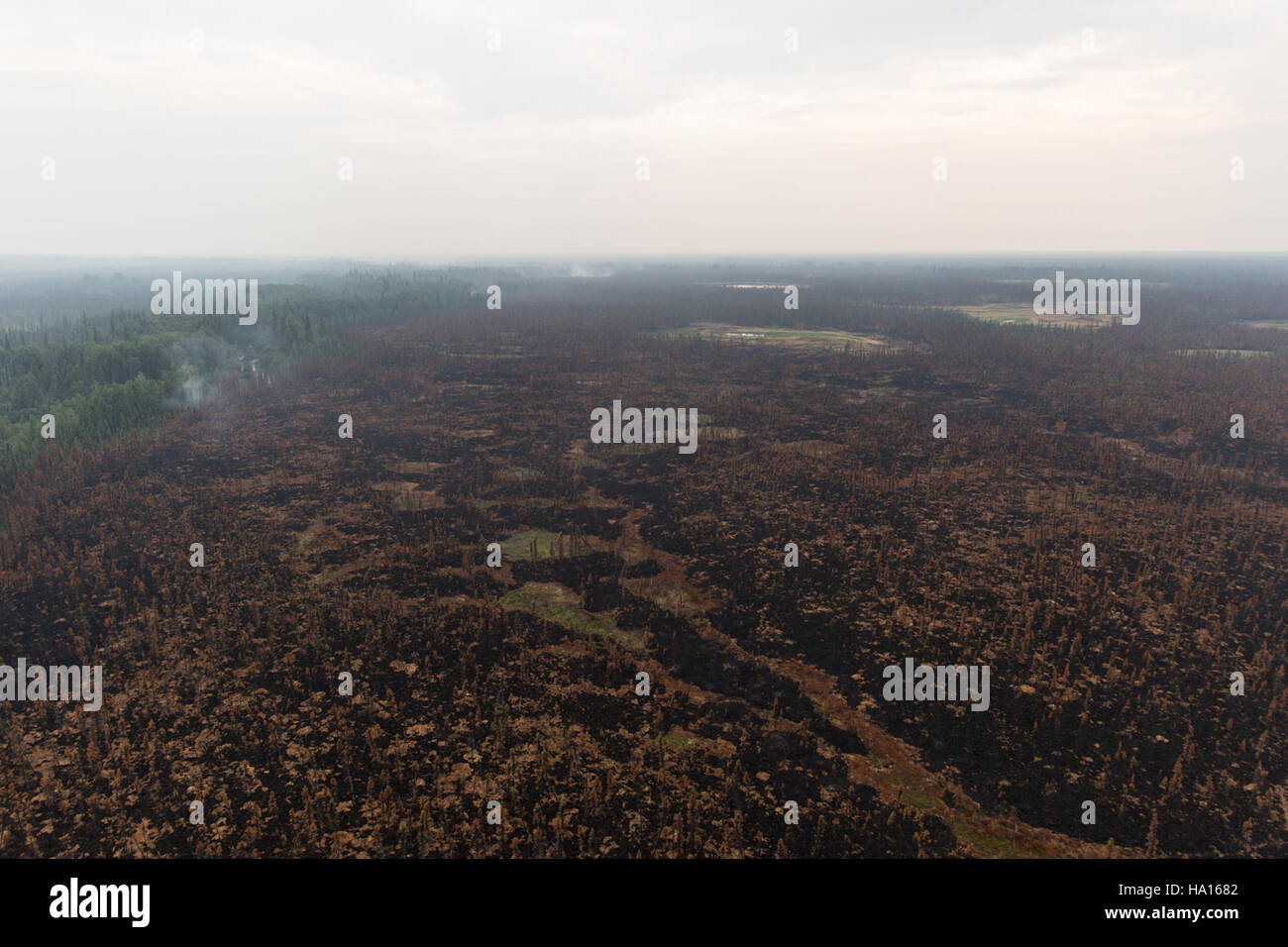 The Moose Creek Fire in Denali National Park was managed by the ...