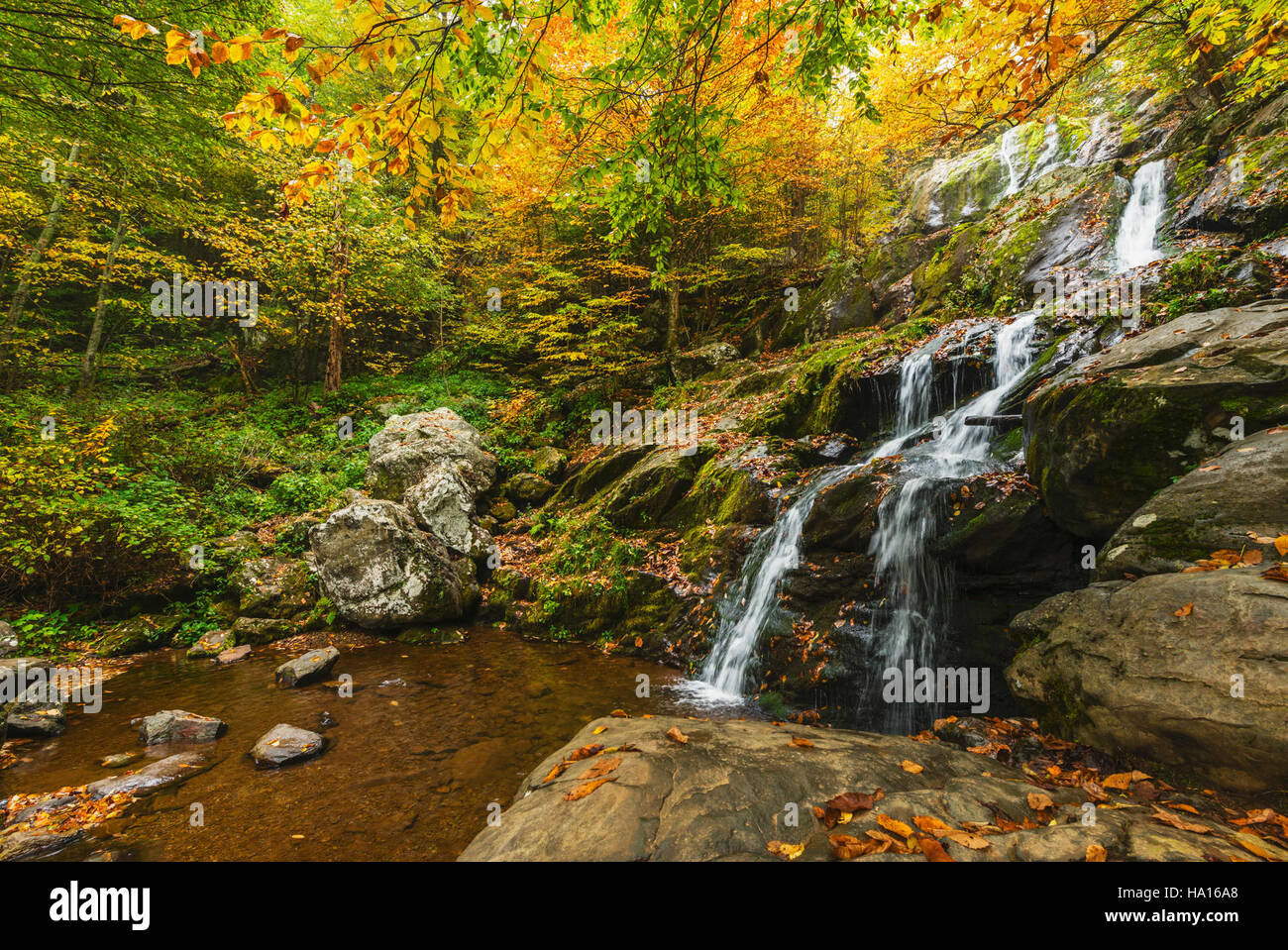 Dark fall foliage colors hi-res stock photography and images - Alamy