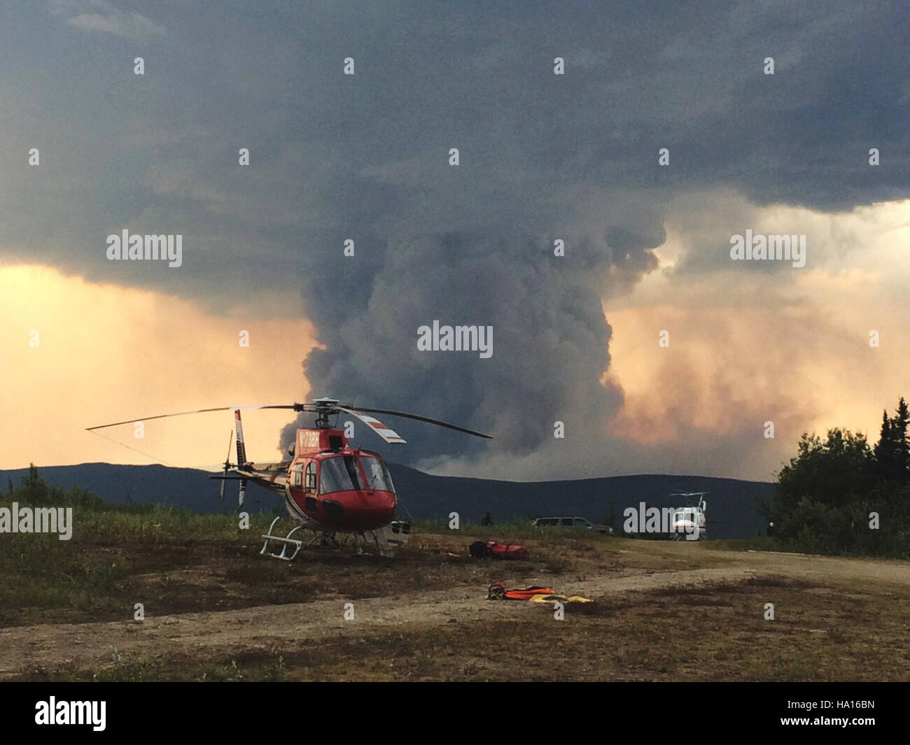 The Alaska Fire has impacted wildlife habitats and landscapes, with ...